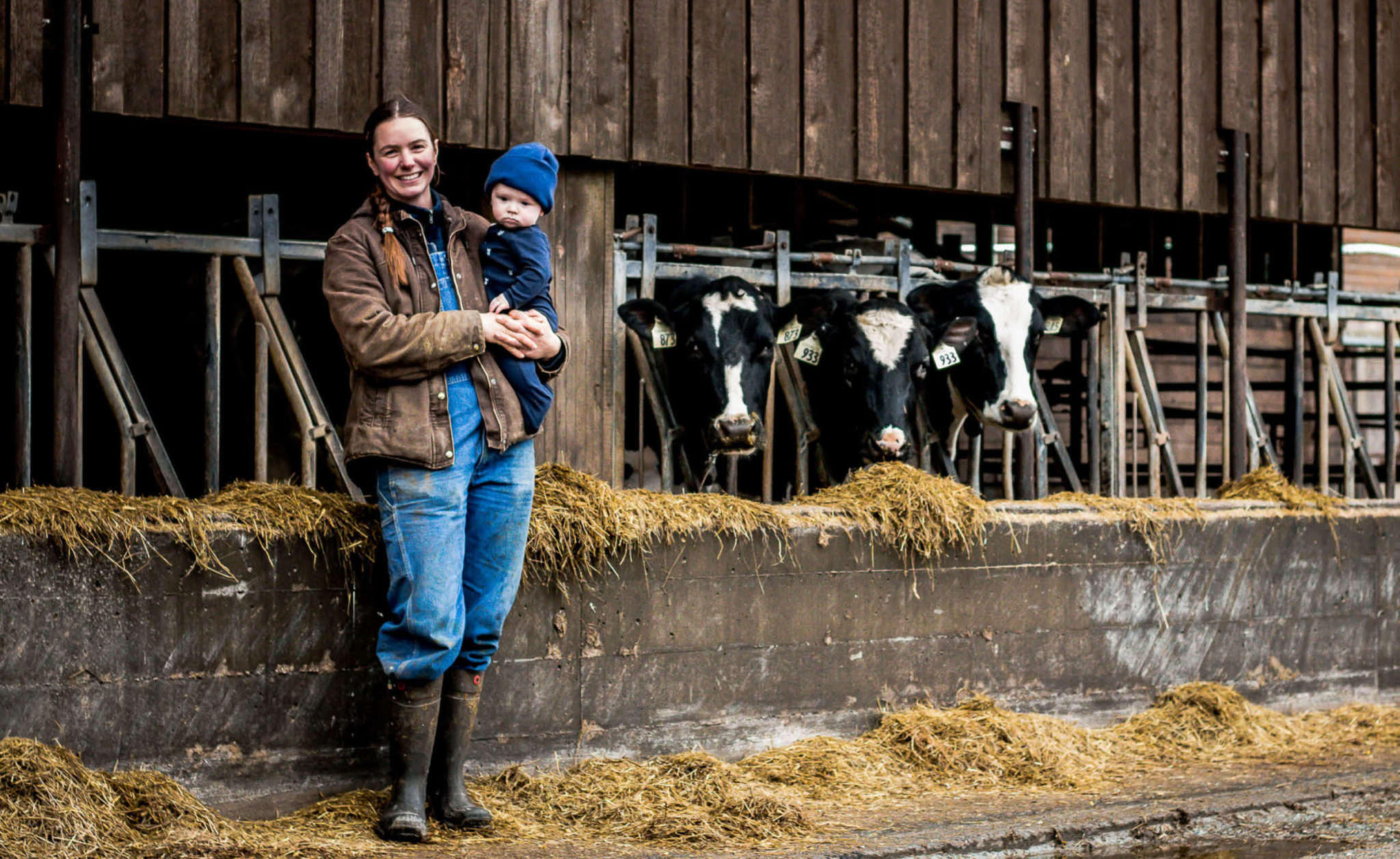 Living Off the Land - Brackenhurst Farm: Destiny on the Dairy Line ...