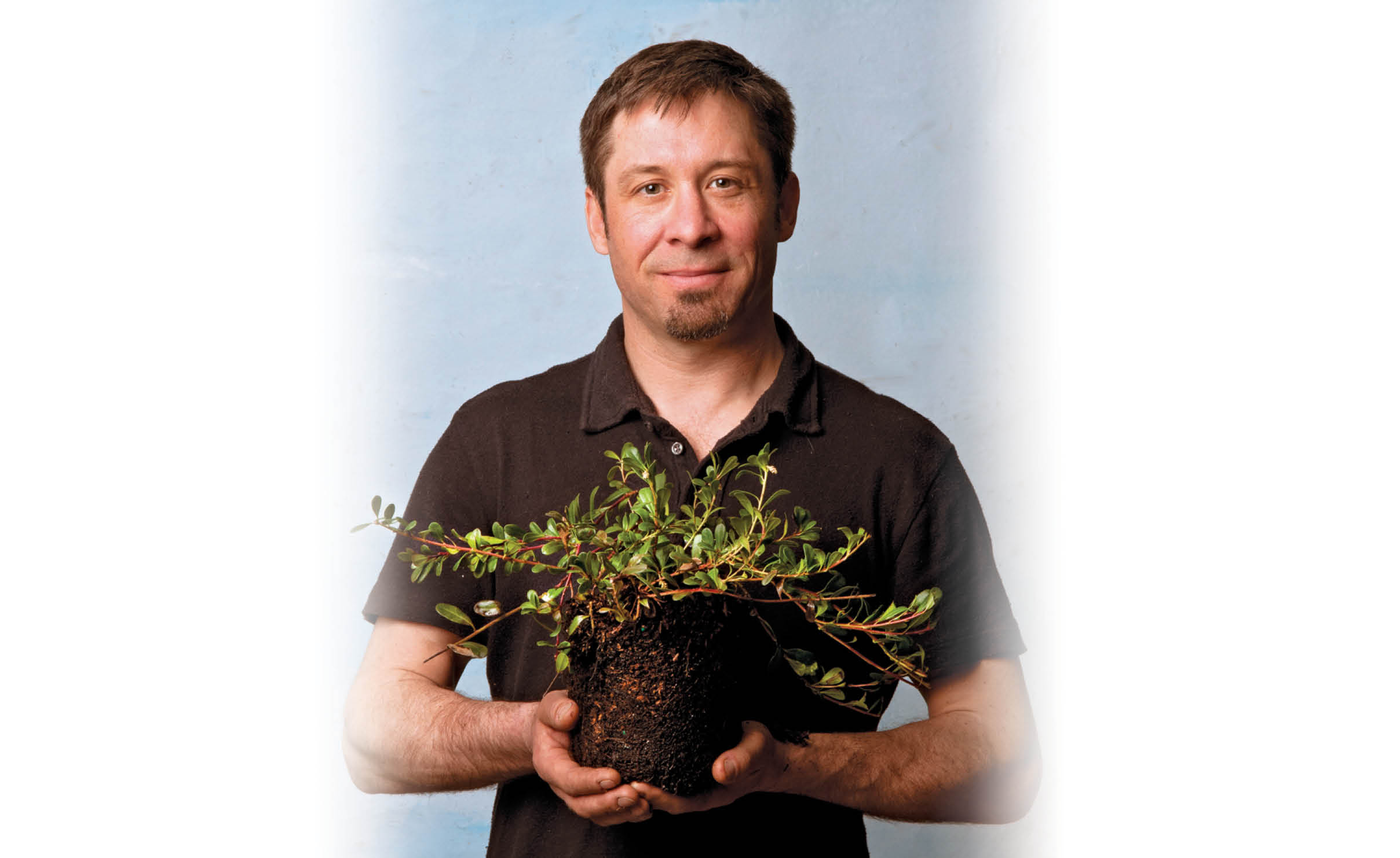 West Coast Gardener - Do Your Landscape Ideas Need a Professional ...