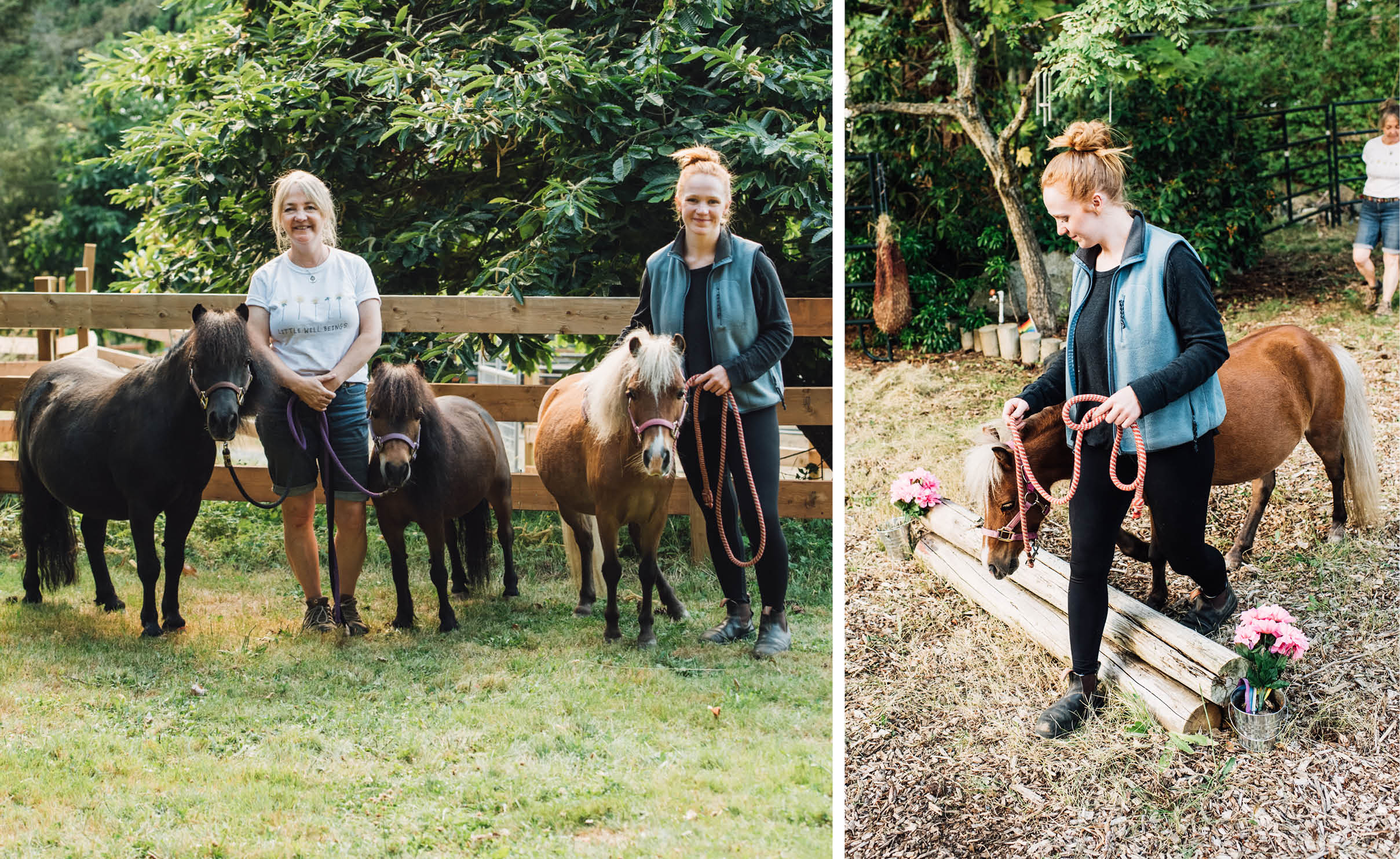 Stable & Field - Nurturing Connections at Heartfelt Farm - Seaside Magazine