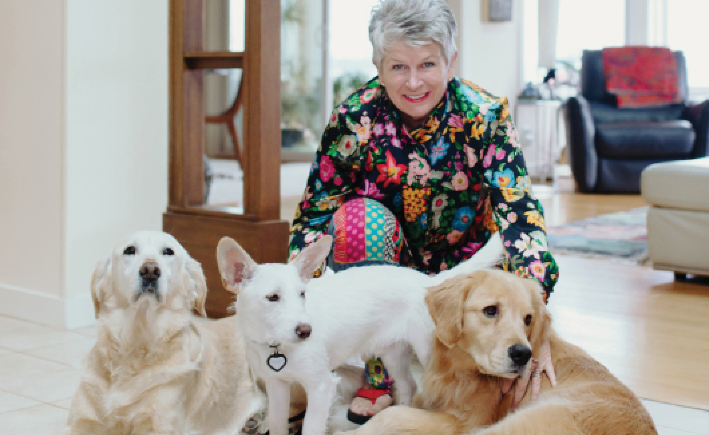 Meet Your Neighbours - Marion Evamy: The Art of Rescuing Dogs - Seaside ...