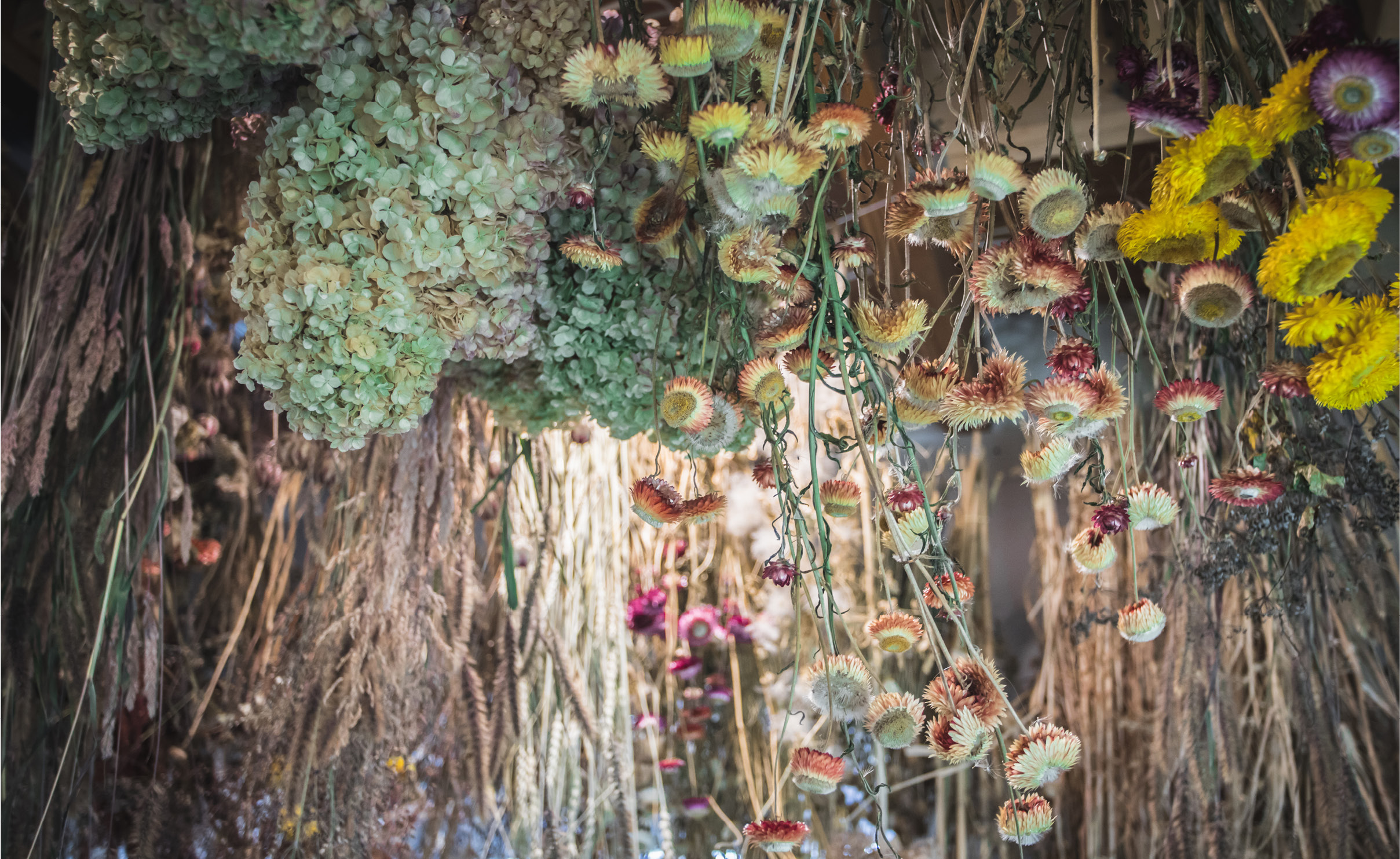 Living Off the Land - Spangelo Flower Farm: Blossoms from the Heart ...