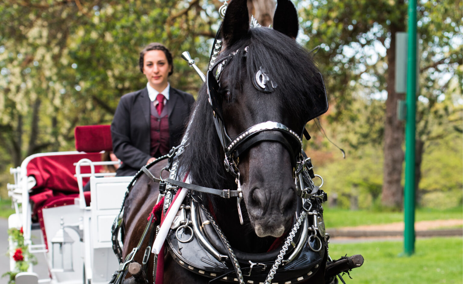 Stable & Field - Horse-Drawn Carriages and their Peninsula Connection ...
