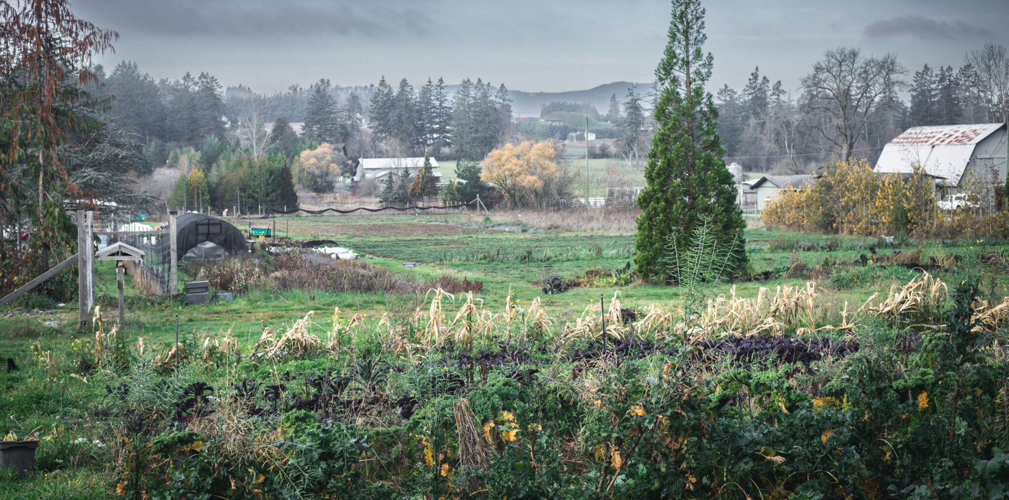 Off the Land - City’s Edge Farm: Fresh Food for Local Folks - Seaside ...