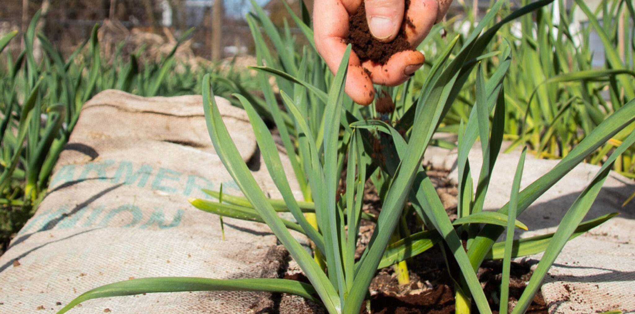 West Coast Garden - Healthy Soil, Healthy Garden - Seaside Magazine