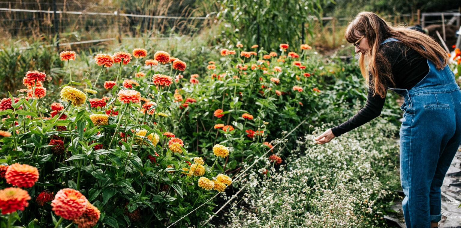 Off the Land - House of Orange Farm: The Colour of Crops & Culture ...